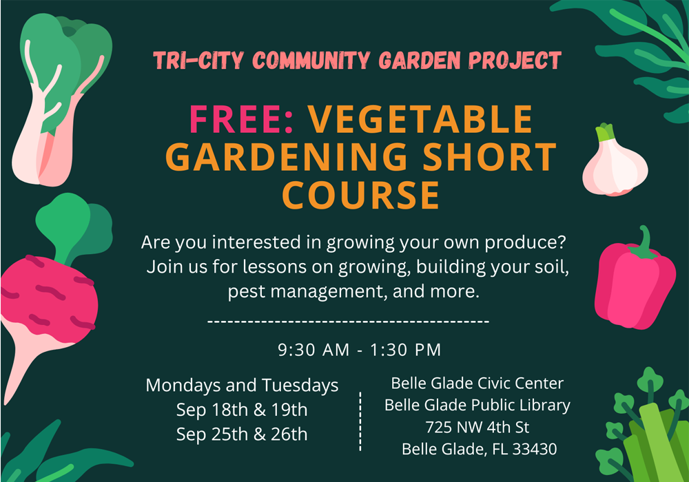 Count-e-News • August 31, 2023